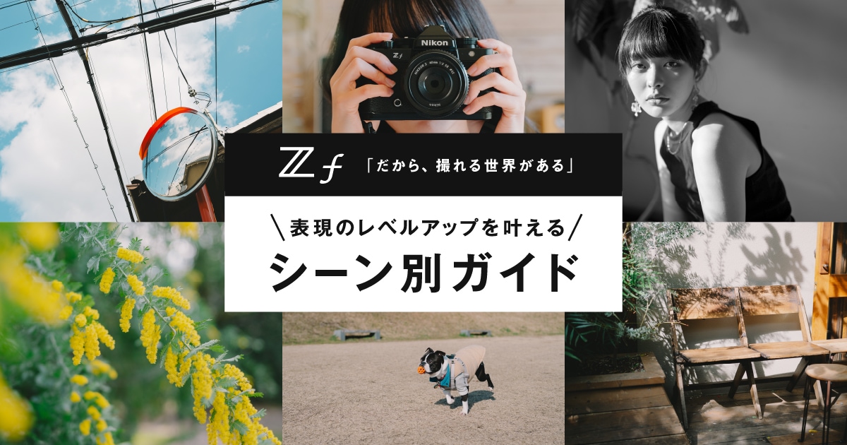 Nikon Zf with Heritage Design | Nikon Zf表現のレベルアップを叶えるシーン別ガイド | ニコンイメージング